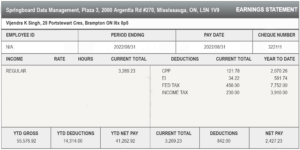 Ontario Pay Stub Generator - Canadian Online Pay Stub Generator